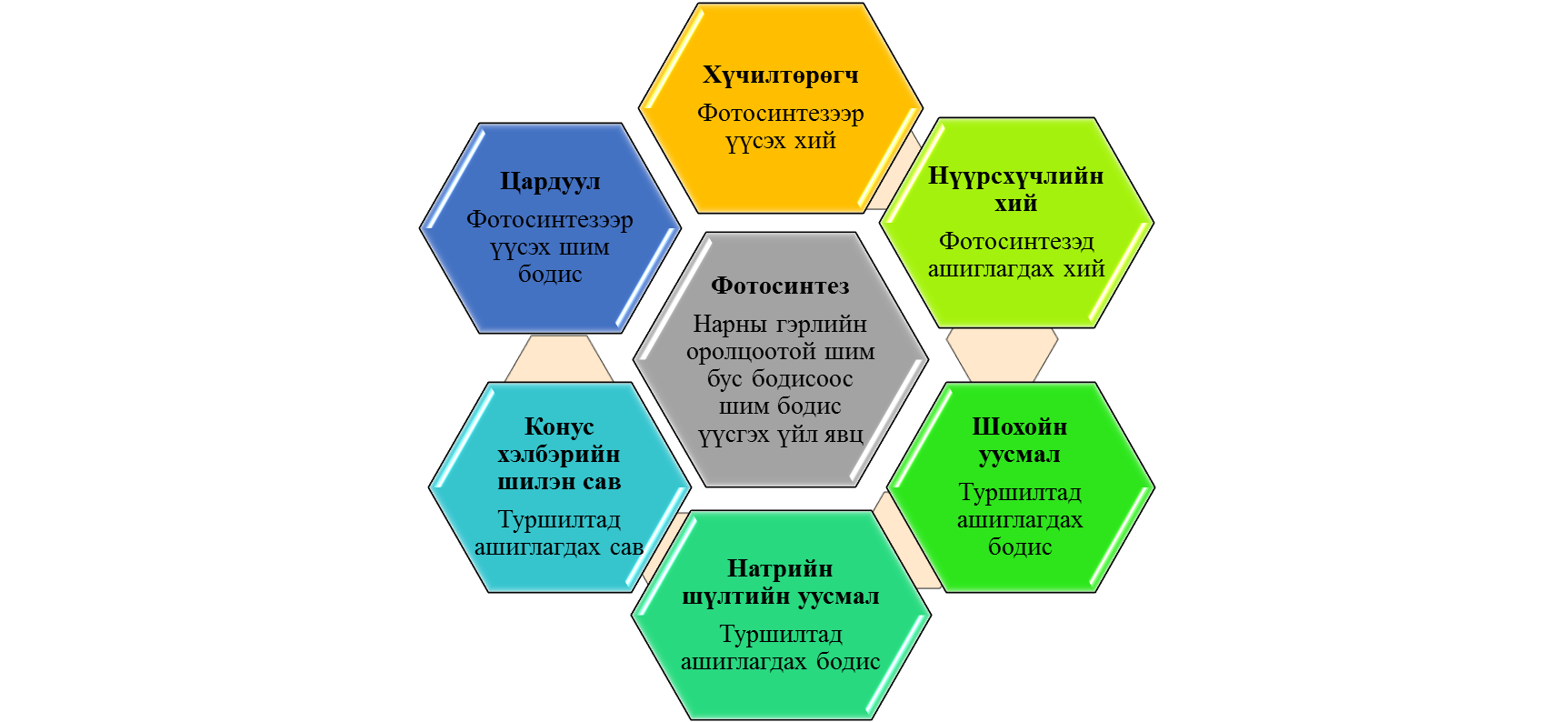 Мэдлээ Цахим контент